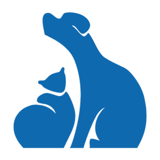 Dr. Matthew Leslie | LePar Animal Hospital