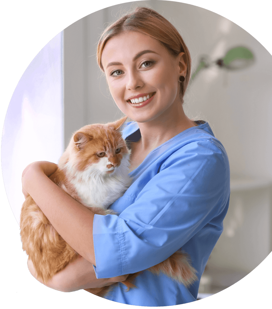 Veterinarian in Evergreen Park, IL | LePar Animal Hospital